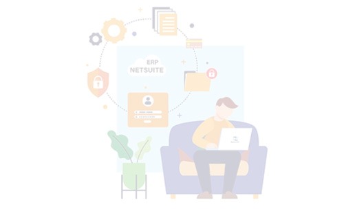 White Paper - NetSuite Solution Provider Partner | NetSuite Consulting | NetSuite Support